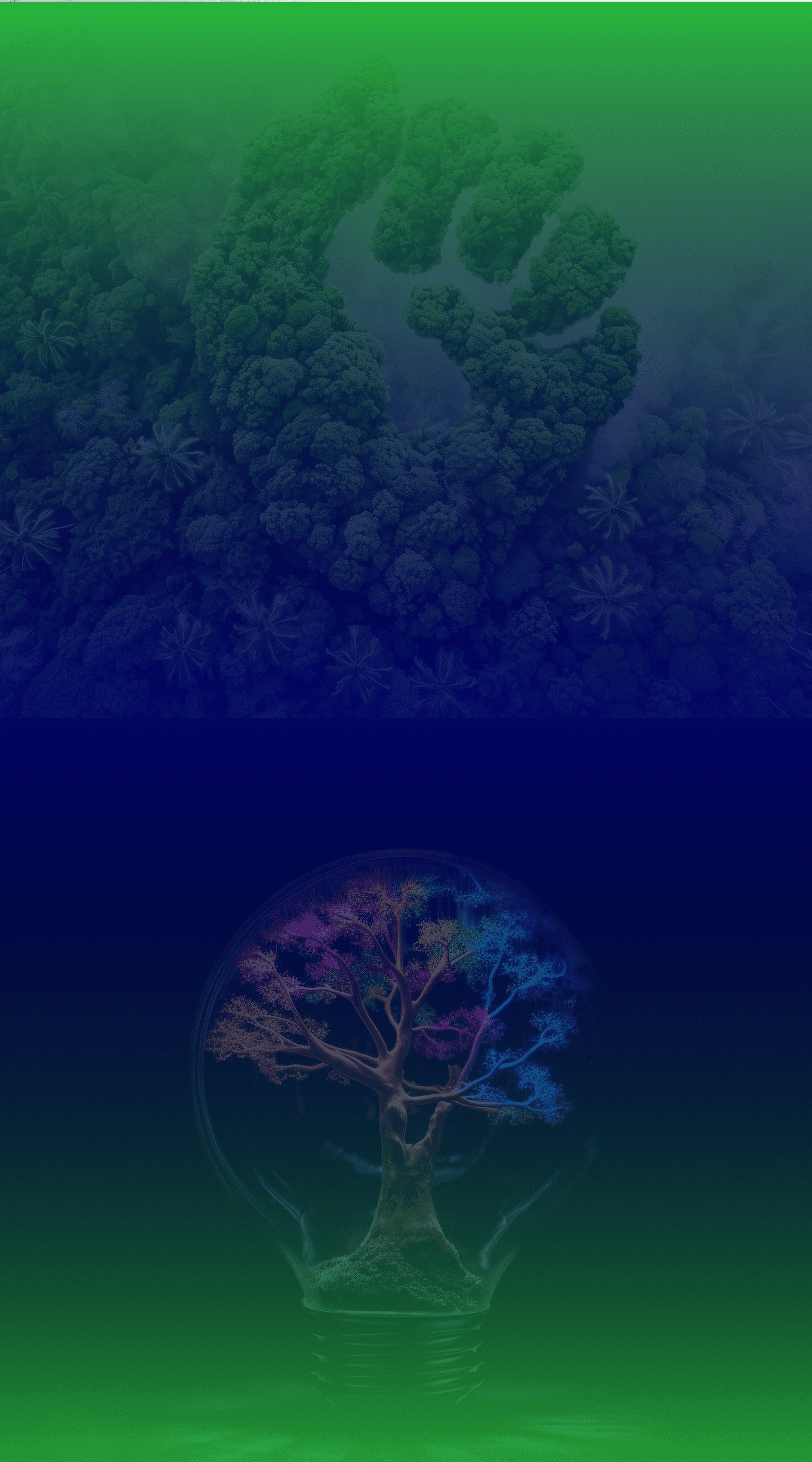 Group13 - Berca Hardayaperkasa